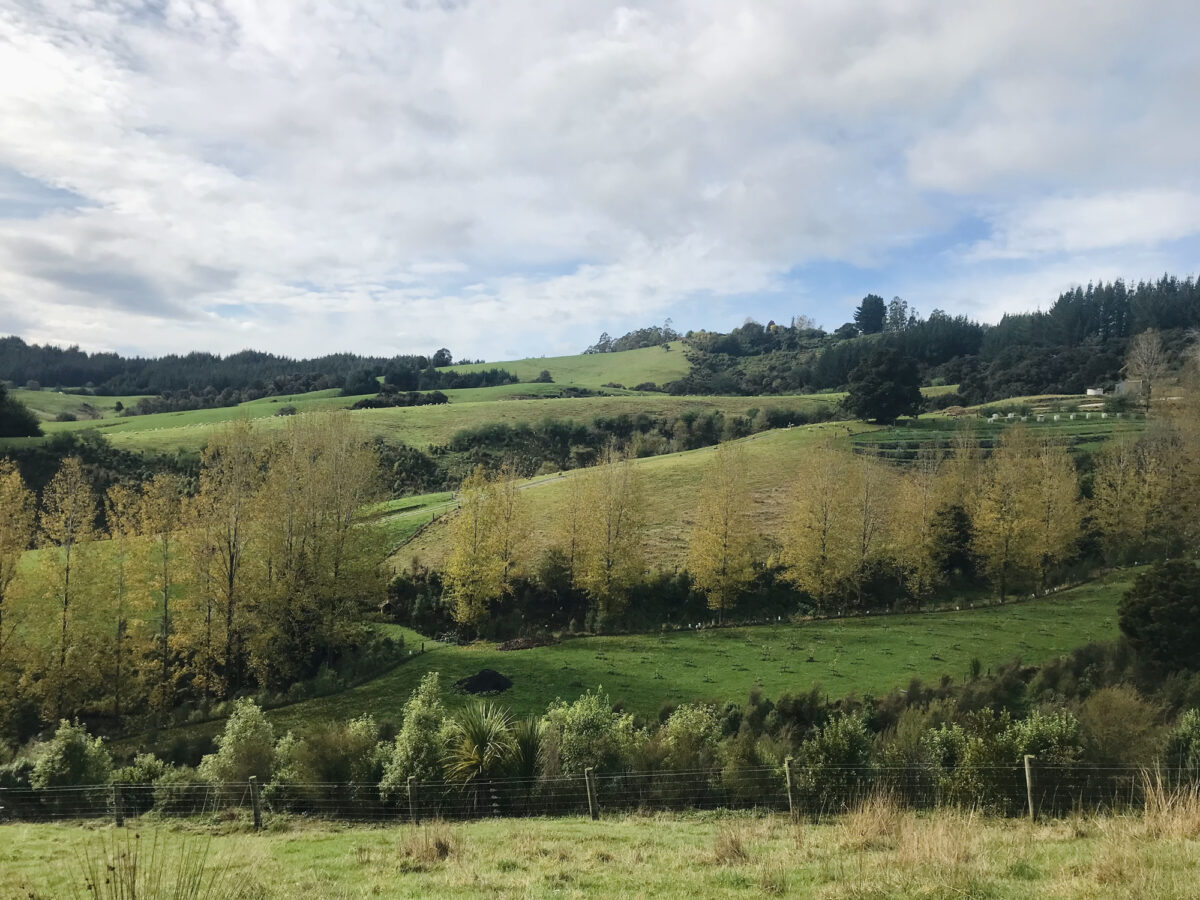 Connect - organic-ed.com